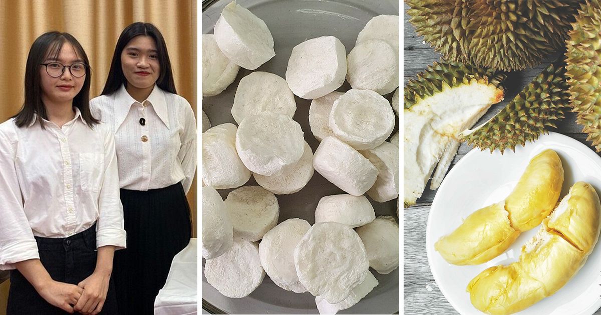 Hanoi Students Create Green Material From Durian Rind to Aid Oil Spill ...