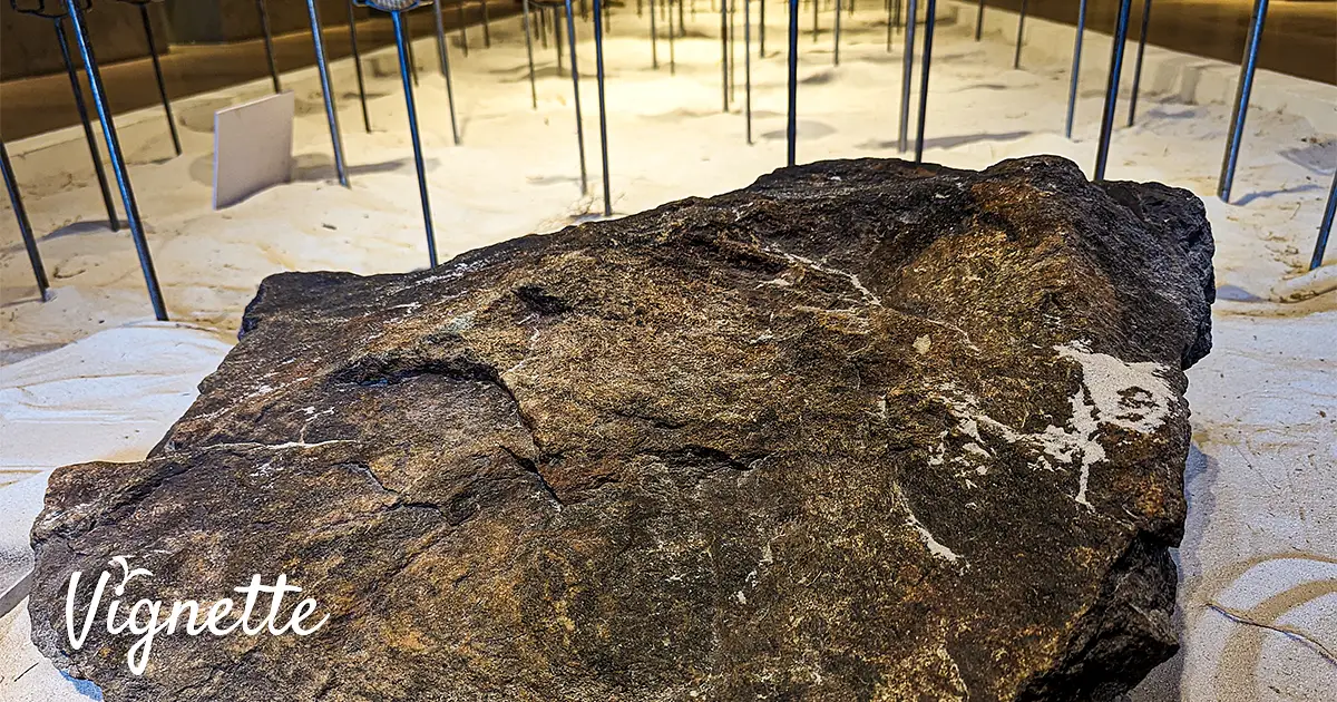 Vignette: Behold Vietnam's Oldest Rock, a Memento Mori of Human ...