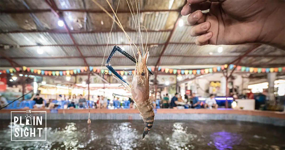 Shrimp Fishing in Thanh Đa Is Fun Even When You Don't Catch Anything ...