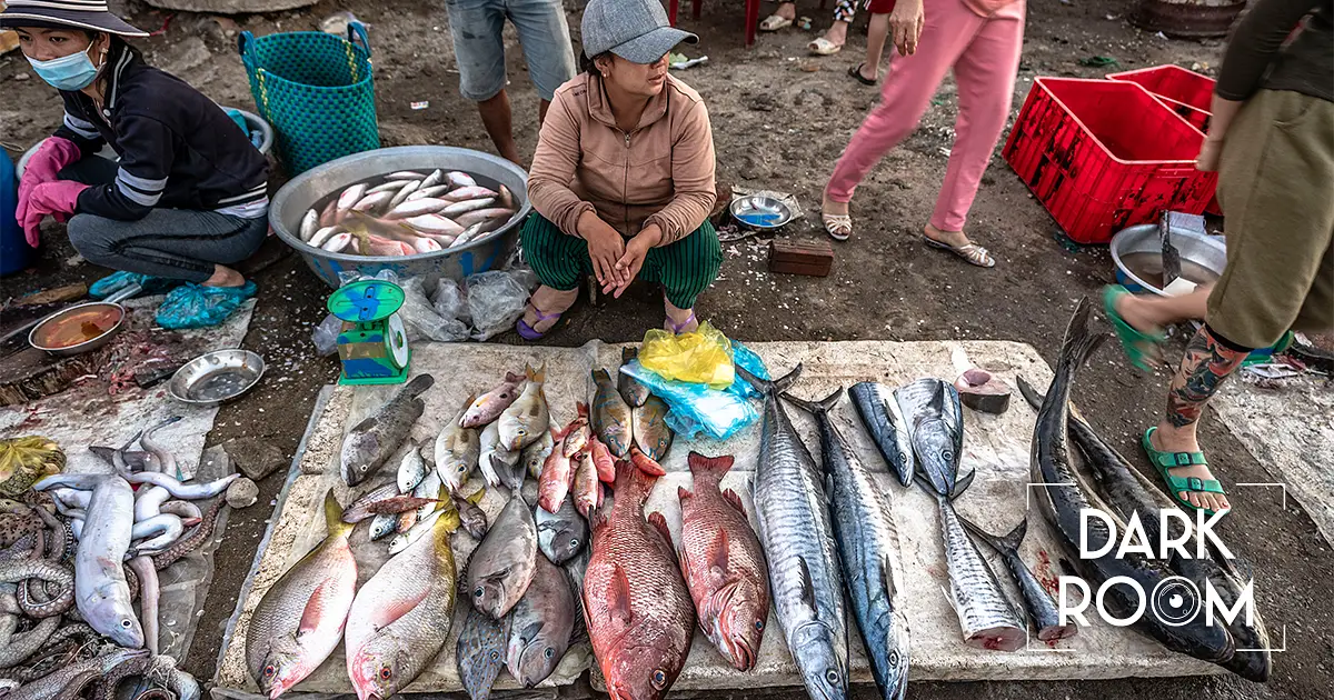 A Merry Morning Over the Fish Markets and Salt Fields of Phan Rang ...