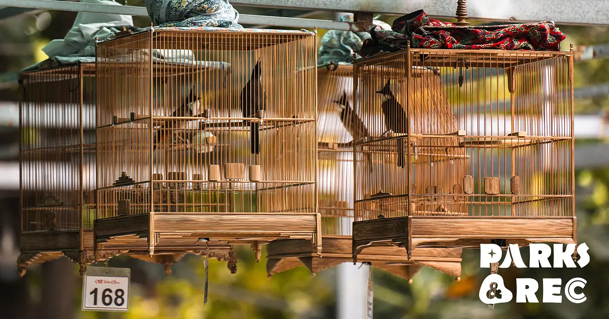 I Know Where the Caged Bird Sings: The Joy of Saigon's Birdsong ...