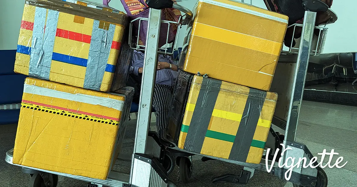 How to Spot a Traveling Vietnamese at the Airport? Boxes With Sharpied ...