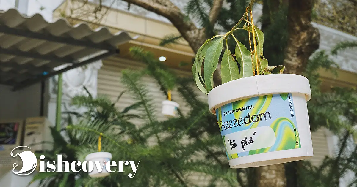 Sấu, Mơ, and Lotus Tea: The Delight of Freezedom Hanoi's Creative ...