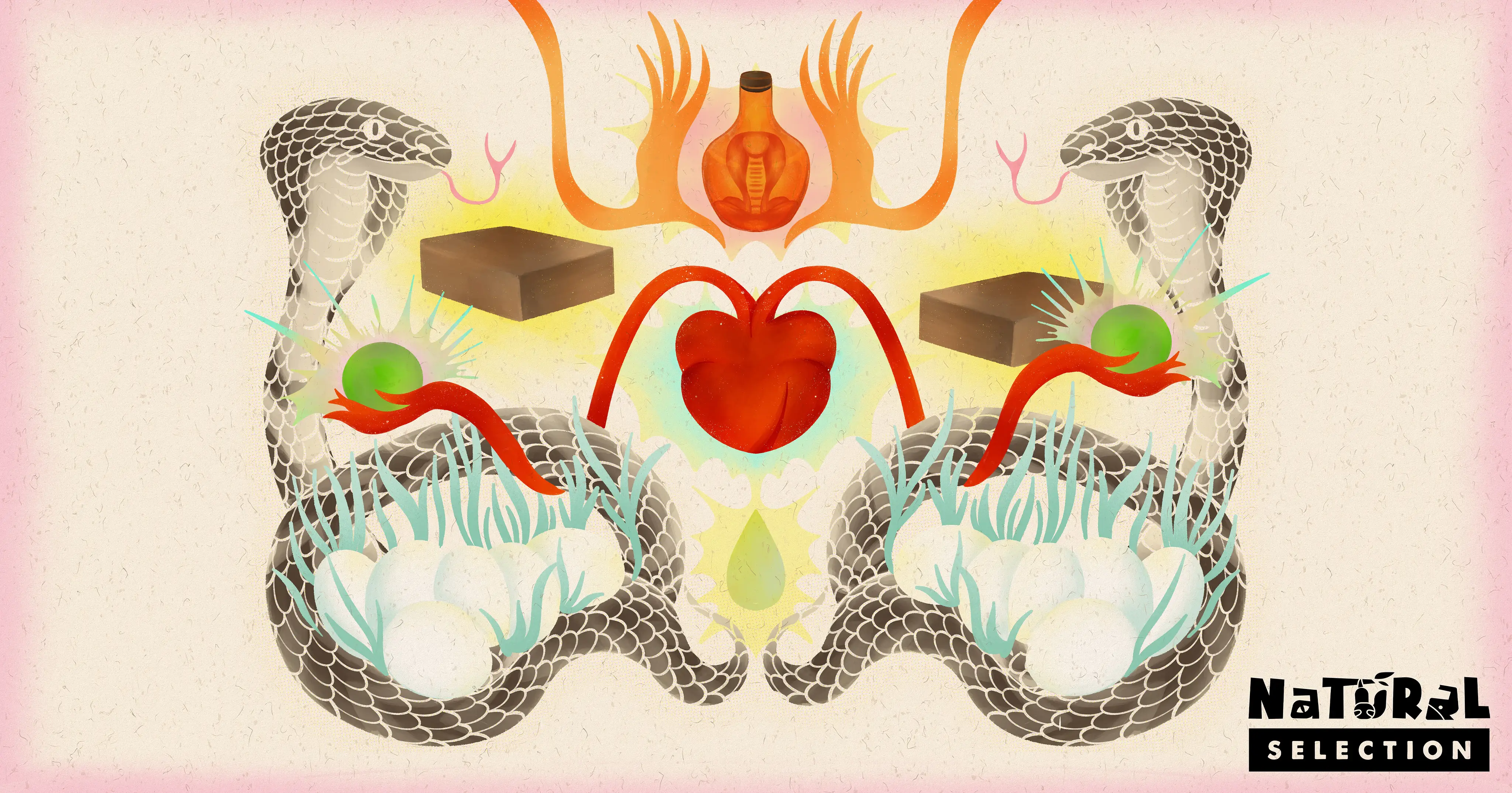 A Folk Symbol and Cash Animal, King Cobras Just Really Want to Be Left ...