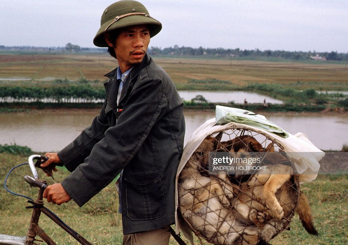 Rare Film Photos by Andrew Holbrooke Showcase an Industrious Vietnam in ...
