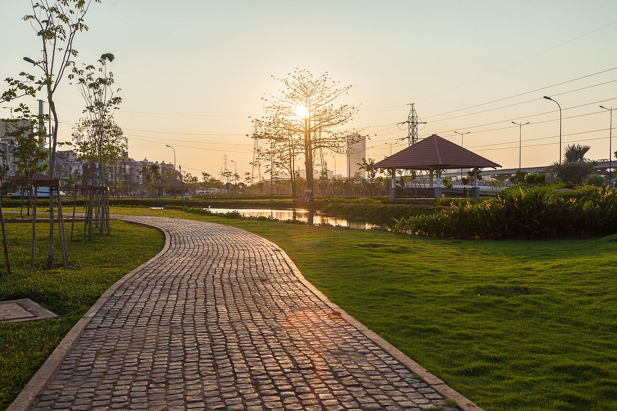 Morning Stories Roundup: Heart Transplant, New Trees, and Long Thanh ...