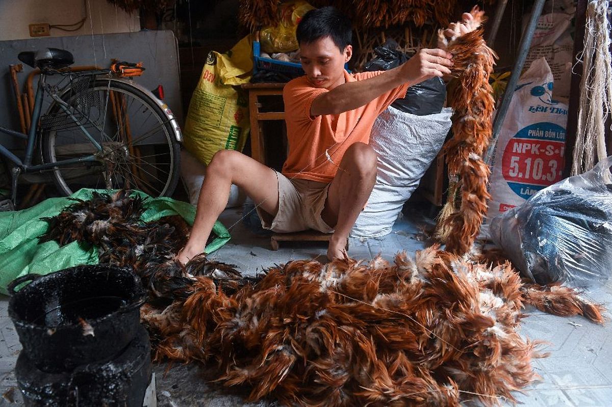 Hanoi's Traditional Chicken Feather Duster Vendors Feel Pain of Mass ...