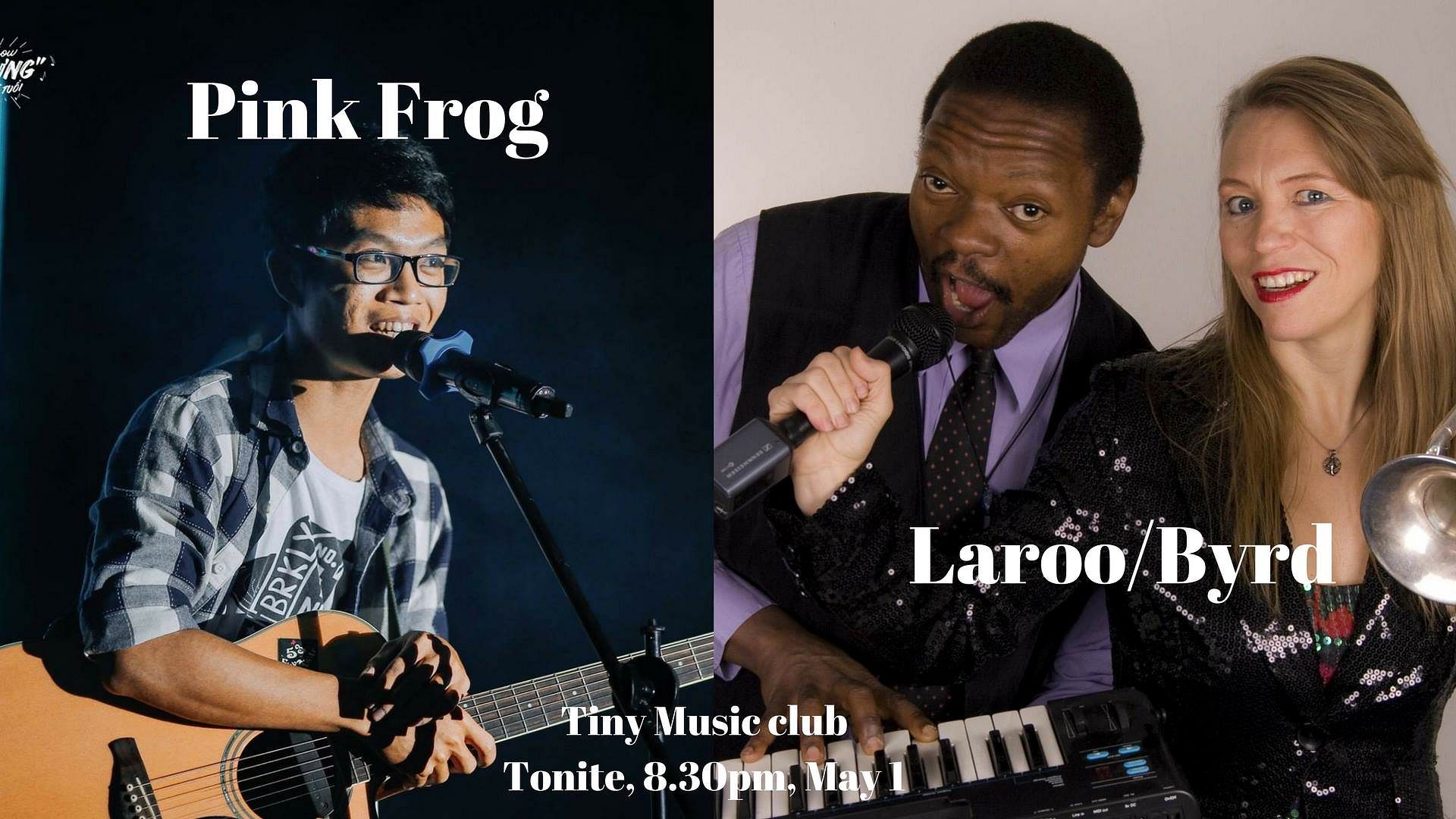 Tiny Music Club: Laroo/Byrd and Pink Frog @ The Hanoi Social Club ...