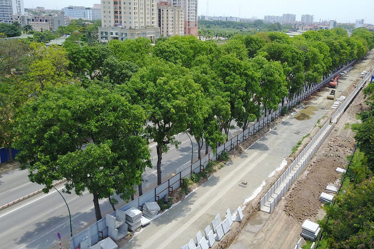 Hanoi to Uproot 1,000 Trees to Make Way for Road Expansion - Saigoneer