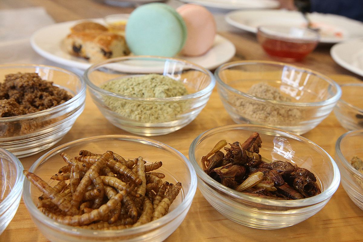 South Korea Just Opened Its First Insect Restaurant - Saigoneer