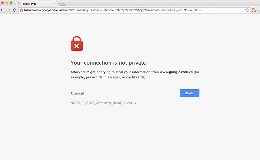 Google.vn Hacked By "Lizard Squad" - Saigoneer