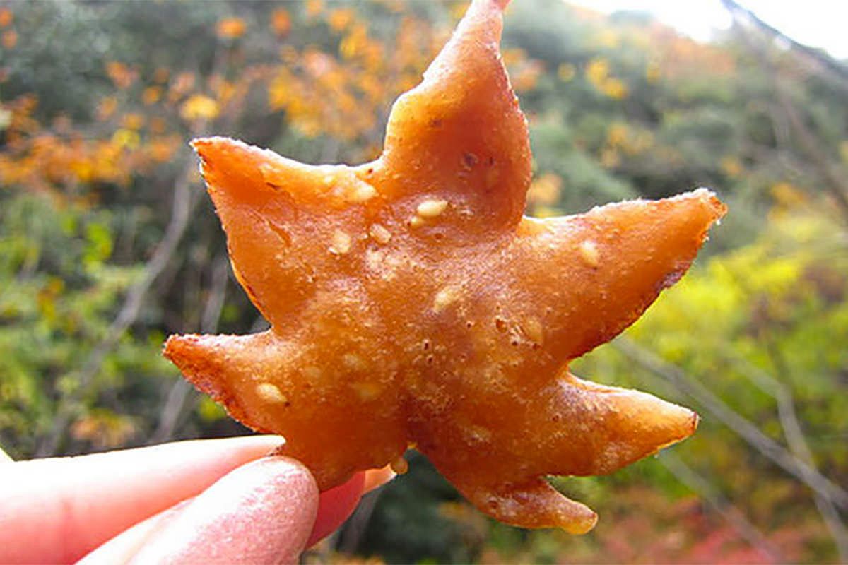 [Video] Japan's Maple Leaf Tempura Tastes as Beautiful as It Looks ...