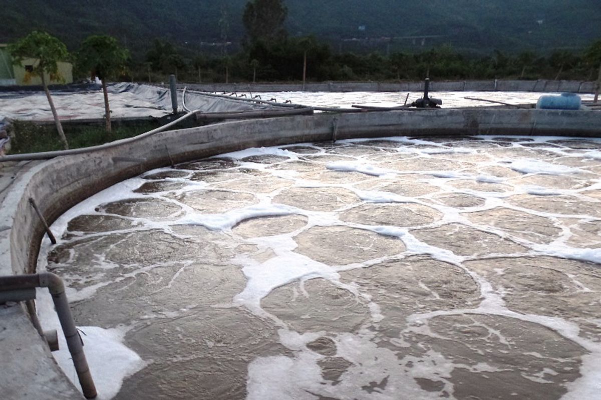 Da Nang Locals Call for Inspection of Industrial Park Accused of ...