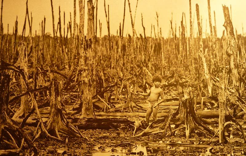 The Toxic Legacy of Agent Orange - Saigoneer