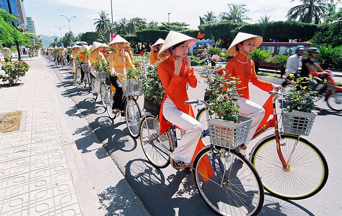 Infographic: The Most Popular Vietnamese Surnames - Saigoneer