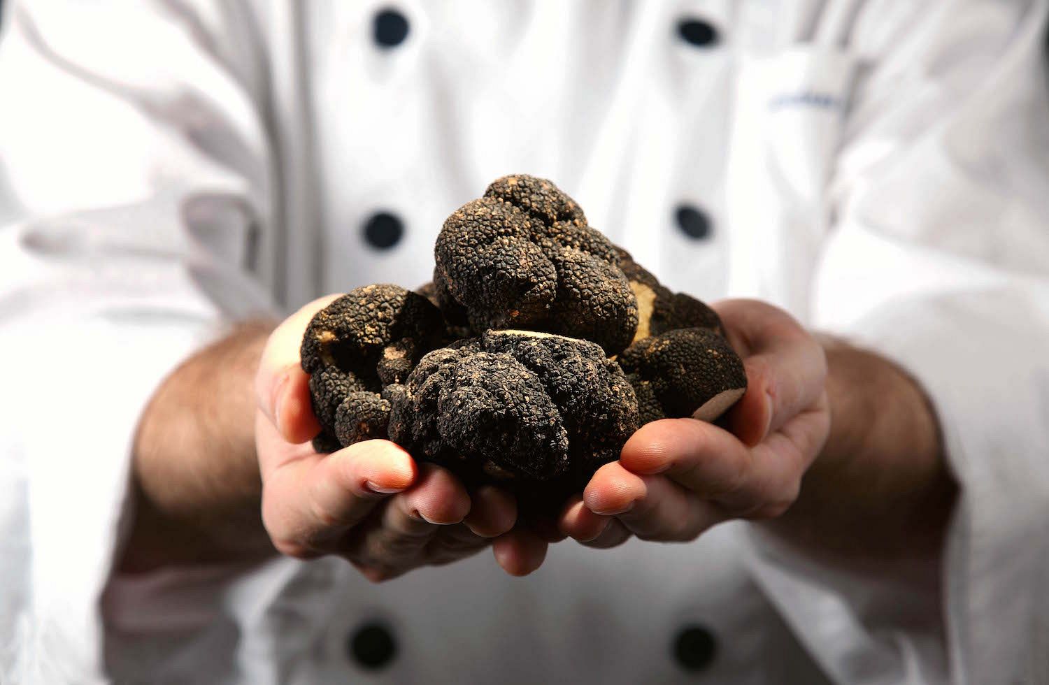Terrific Truffle Specialties @ The Reverie Saigon - Saigoneer
