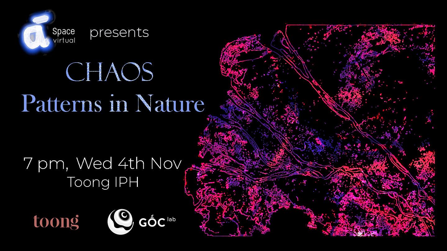 Workshop VI: Chaos - Patterns in Nature @ Toong - Saigoneer