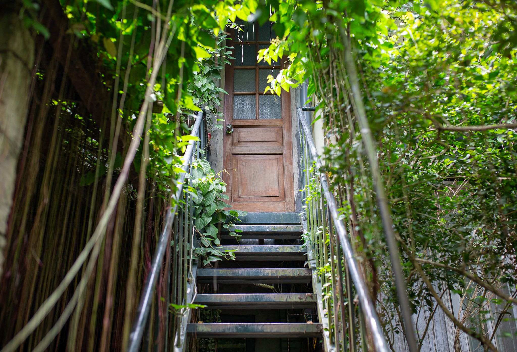 Turn Over a New Page in Hanoi's Hidden Libraries - Saigoneer